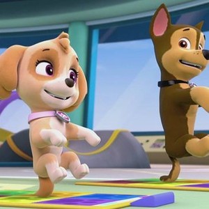 PAW Patrol - Rotten Tomatoes