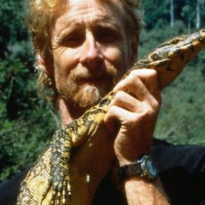 O'Shea's Big Adventure - Rotten Tomatoes