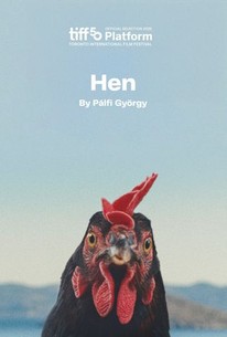 Hen | Rotten Tomatoes