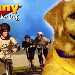 Lenny the Wonder Dog - Rotten Tomatoes