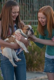 Just Add Magic: Season 1, Episode 3 | Rotten Tomatoes