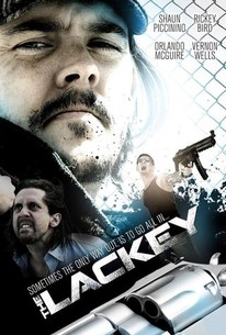 The Lackey | Rotten Tomatoes