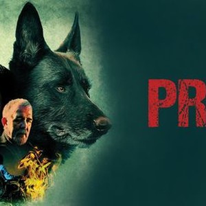 Prey - Rotten Tomatoes