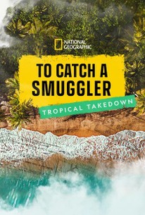 To Catch A Smuggler: Tropical Takedown | Rotten Tomatoes