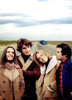 Anne Lockhart Bug Buster Anne Lockhart List Of Movies And TV Shows