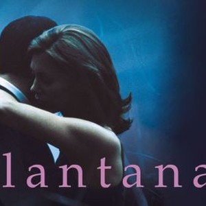 Lantana - Rotten Tomatoes