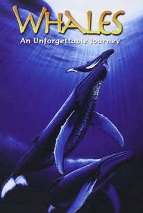 Whales | Rotten Tomatoes