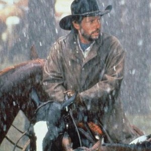 City Slickers - Rotten Tomatoes