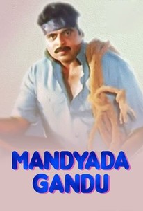 Mandyada Gandu | Rotten Tomatoes