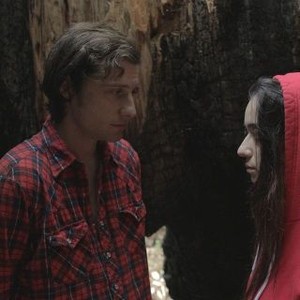 Felt - Rotten Tomatoes