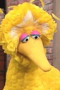 Sesame Street: Season 37, Episode 11 | Rotten Tomatoes