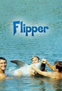 Flipper: Season 1 | Cast and Crew | Rotten Tomatoes