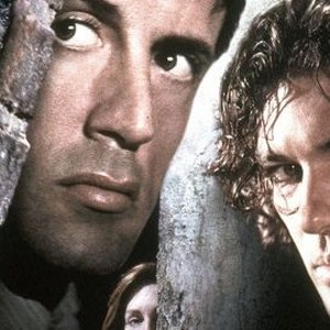 Assassins - Rotten Tomatoes