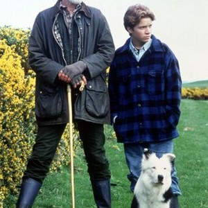 Dylan Provencher - Rotten Tomatoes