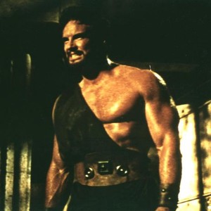 Steve Reeves Beard