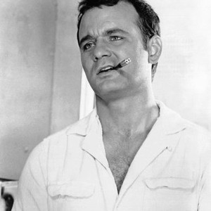 Bill Murray - Rotten Tomatoes