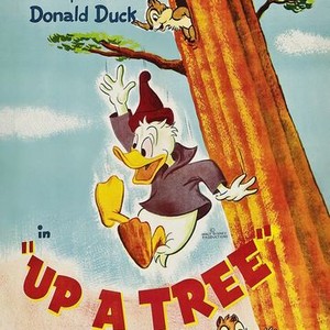 Up a Tree - Rotten Tomatoes