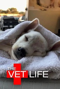 The Vet Life - Rotten Tomatoes