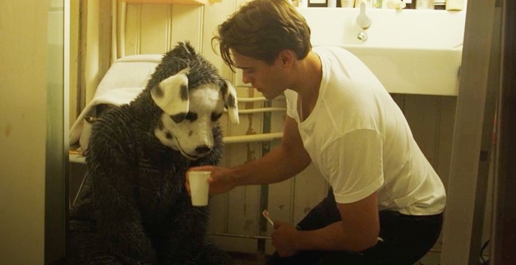 Good Boy - Rotten Tomatoes