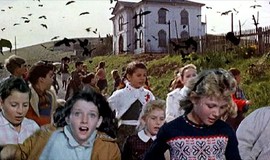 The Birds - Rotten Tomatoes