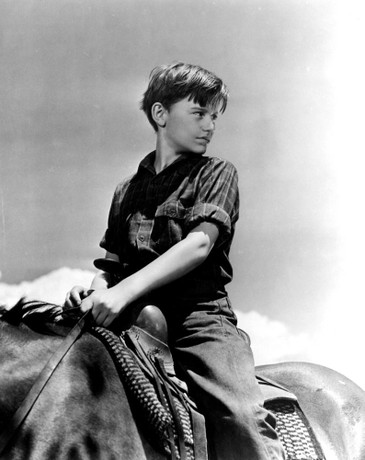 Roddy Mcdowall Movies Roddy McDowall Movies & TV Shows List | Rotten