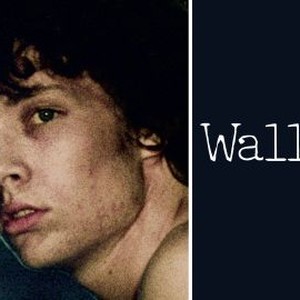 Wall Boy - Rotten Tomatoes