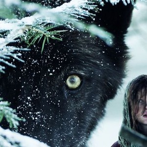 Surviving With Wolves - Rotten Tomatoes