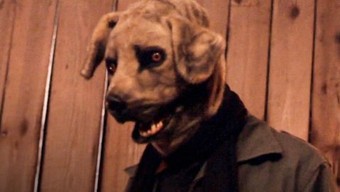 Anonymous Animals - Rotten Tomatoes