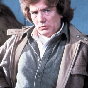 Wolfen - Rotten Tomatoes