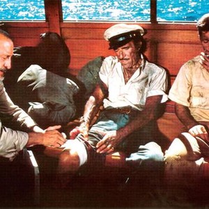 Hart Bochner - Rotten Tomatoes