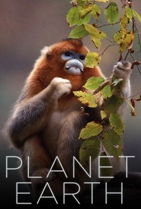 Planet Earth (2002) | Rotten Tomatoes