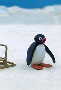 Pingu: Season 3, Episode 21 - Rotten Tomatoes