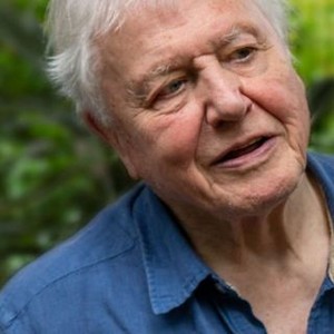 Attenborough's Life in Colour - Rotten Tomatoes