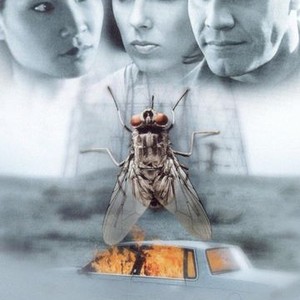 Flypaper - Rotten Tomatoes