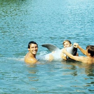 Flipper - Rotten Tomatoes