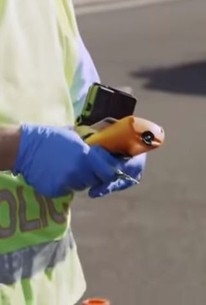 Random Breath Test: Season 9, Episode 6 | Rotten Tomatoes