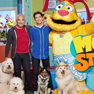 Mutt & Stuff: Season 2, Episode 9 - Rotten Tomatoes