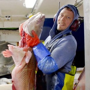 Ice Cold Catch: Season 1, Episode 17 - Rotten Tomatoes