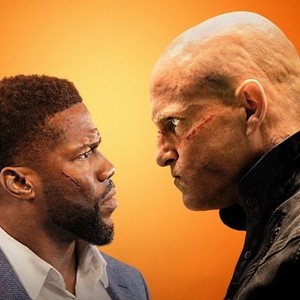 The Man From Toronto - Rotten Tomatoes