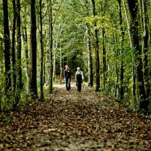 A Father's Legacy - Rotten Tomatoes