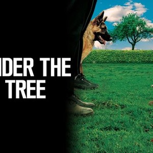 Under the Tree - Rotten Tomatoes