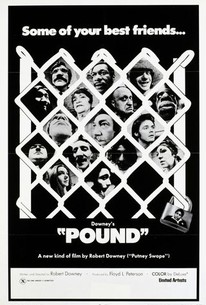 Pound | Rotten Tomatoes