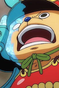 One Piece: Season 20, Episode 119 | Rotten Tomatoes