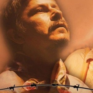 7 Suns - Rotten Tomatoes