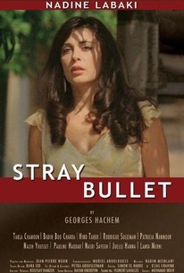 Stray Bullet | Rotten Tomatoes