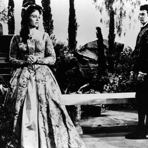 Joyce Taylor - Rotten Tomatoes