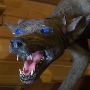 The Monster Project - Rotten Tomatoes