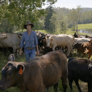 Rachel's Farm - Rotten Tomatoes