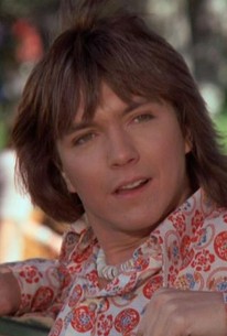 The Partridge Family: Season 4, Episode 19 | Rotten Tomatoes