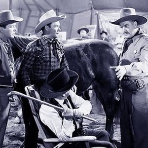 Trigger Jr. - Rotten Tomatoes